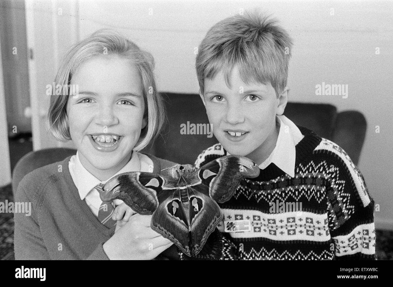 Mighty moth... Genevieve and Gerard Peck have an exotic new pet - a ...