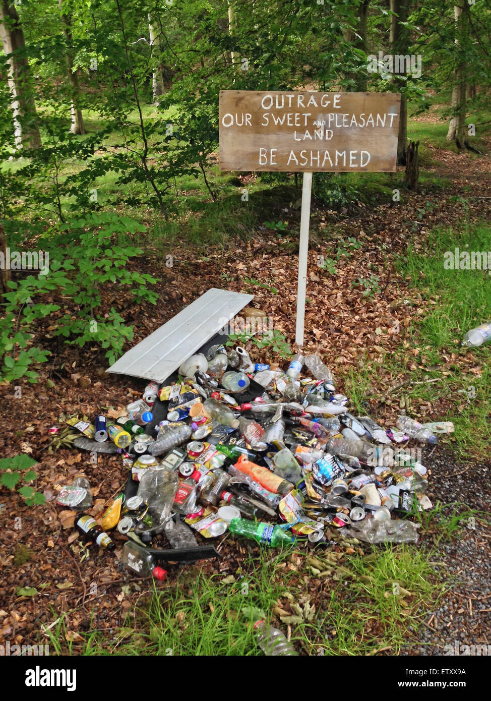 Littering of a forest hi-res stock photography and images - Alamy