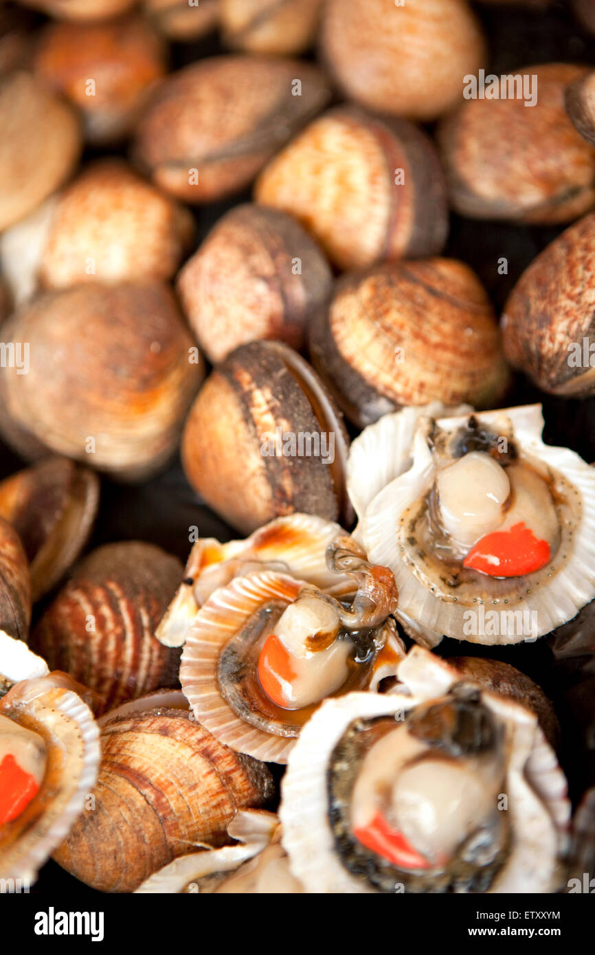 Shells of clams hi-res stock photography and images - Alamy