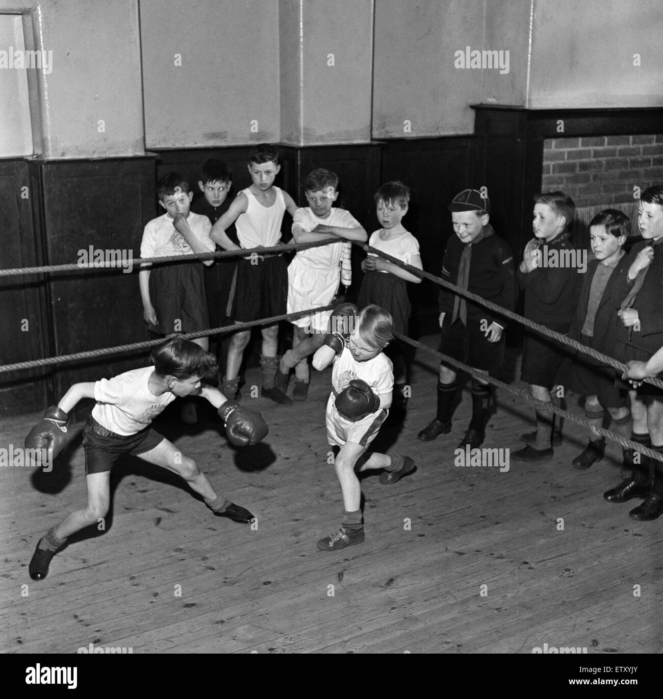 Boys boxing 1950s hi-res stock photography and images - Alamy