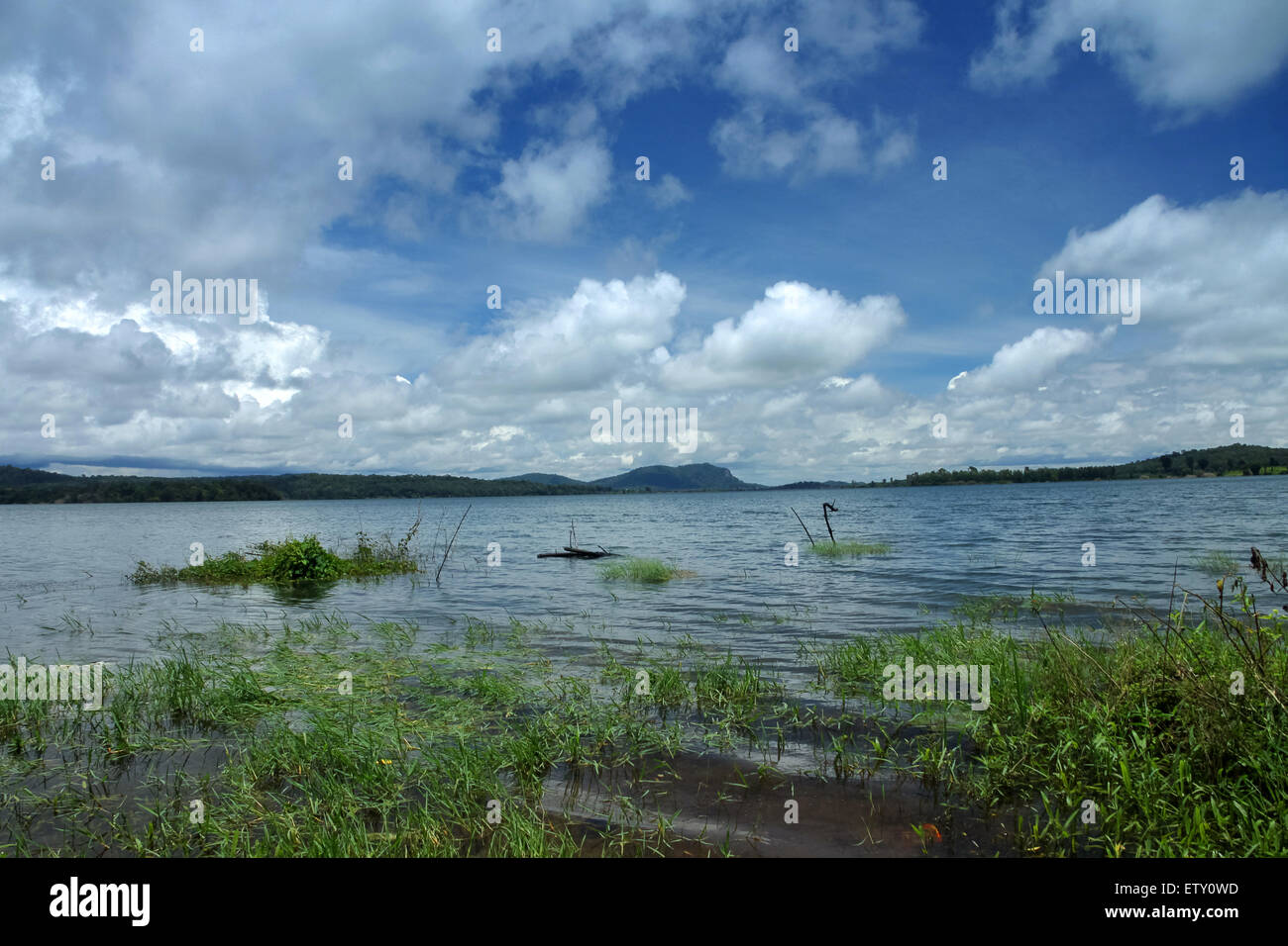 Coorg photos hi-res stock photography and images - Alamy