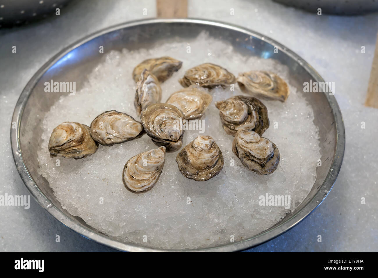 Live shell hi-res stock photography and images - Alamy