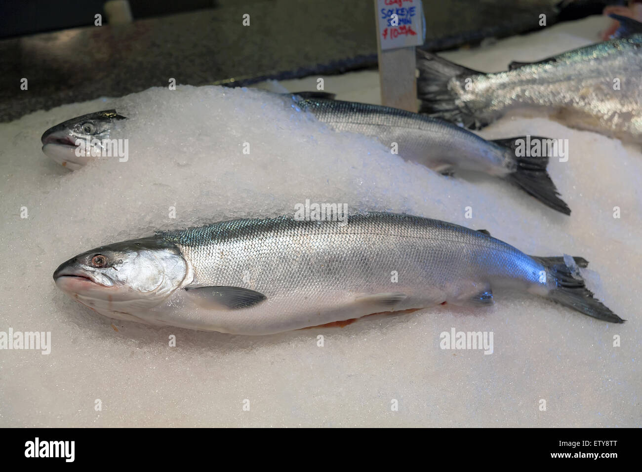 Sockeye salmon fish hi-res stock photography and images - Alamy