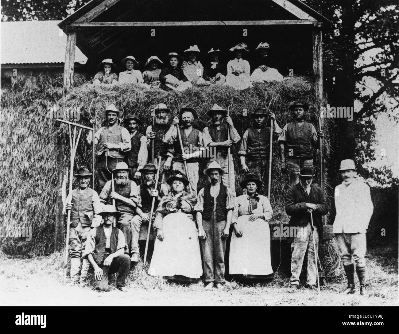 Hay harvest at Neuadd Fawr Mansion, Llanwnnen, Dyfed, Ceredigion, Mid ...