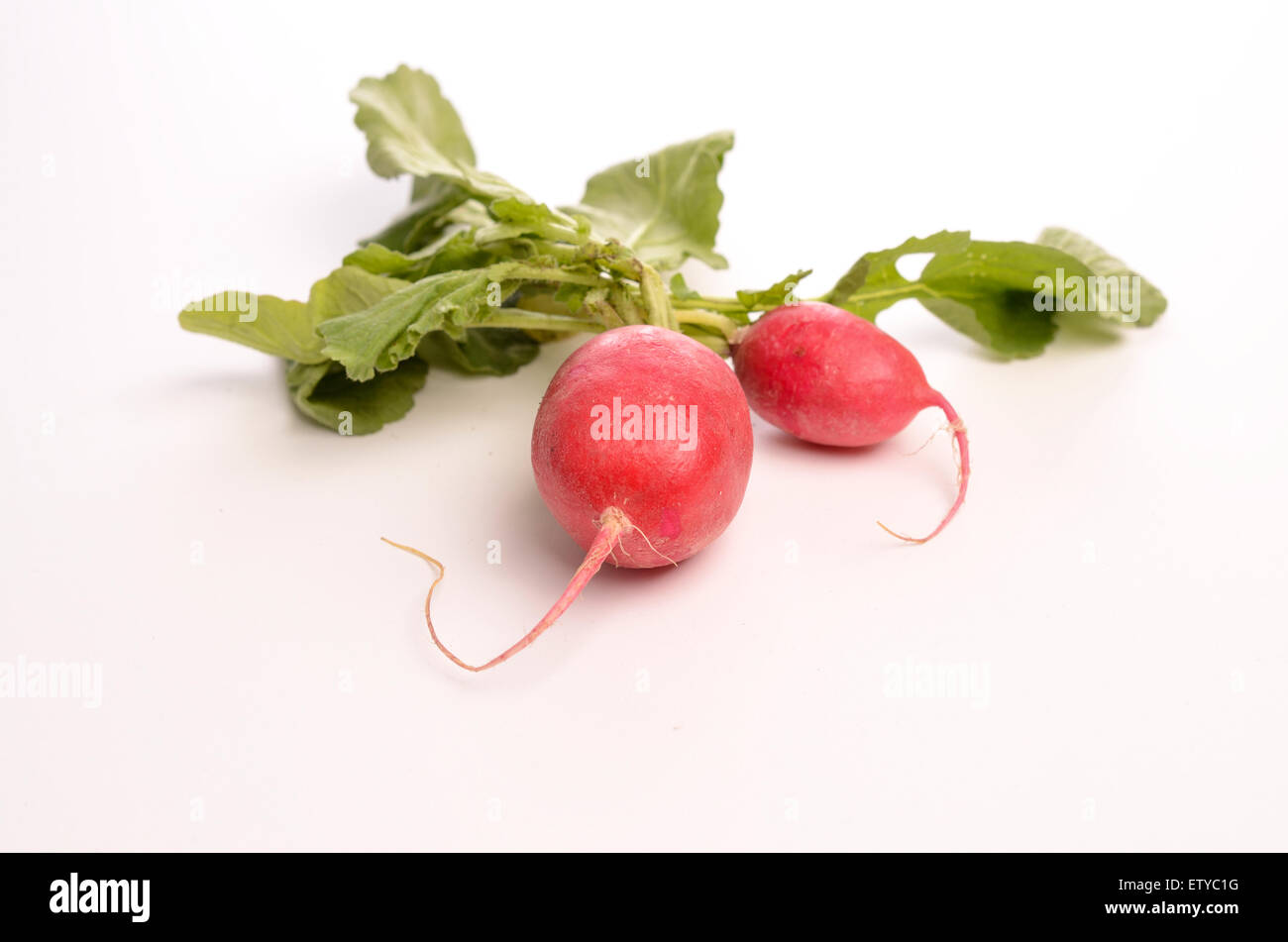 Radishes on a white background Stock Photo - Alamy