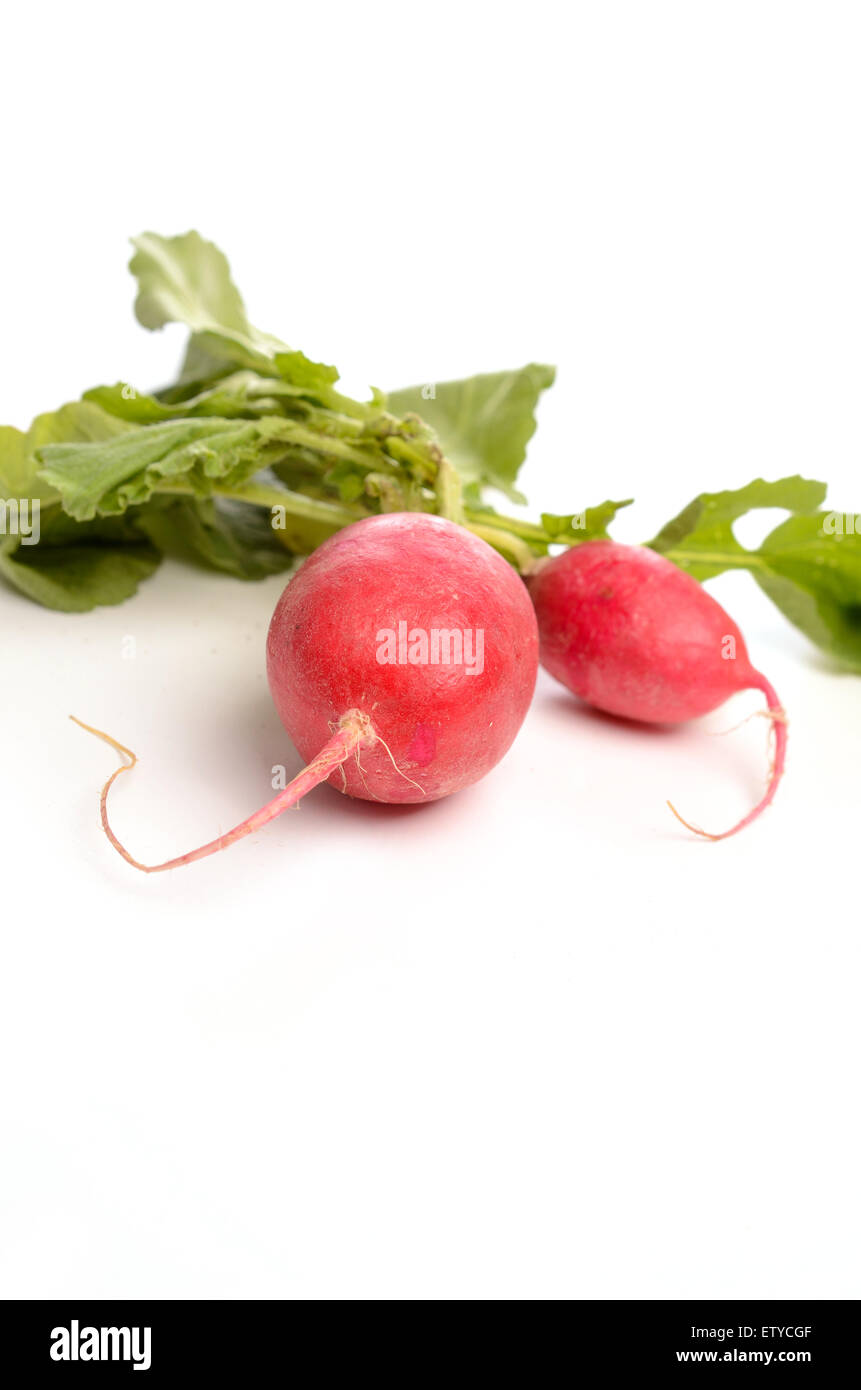 Fresh radishes on a white background Stock Photo - Alamy