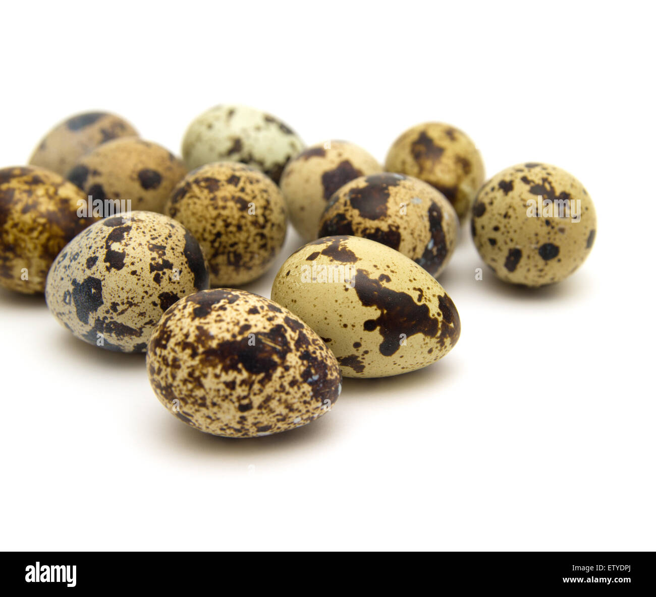 quail eggs isolated on white background Stock Photo - Alamy