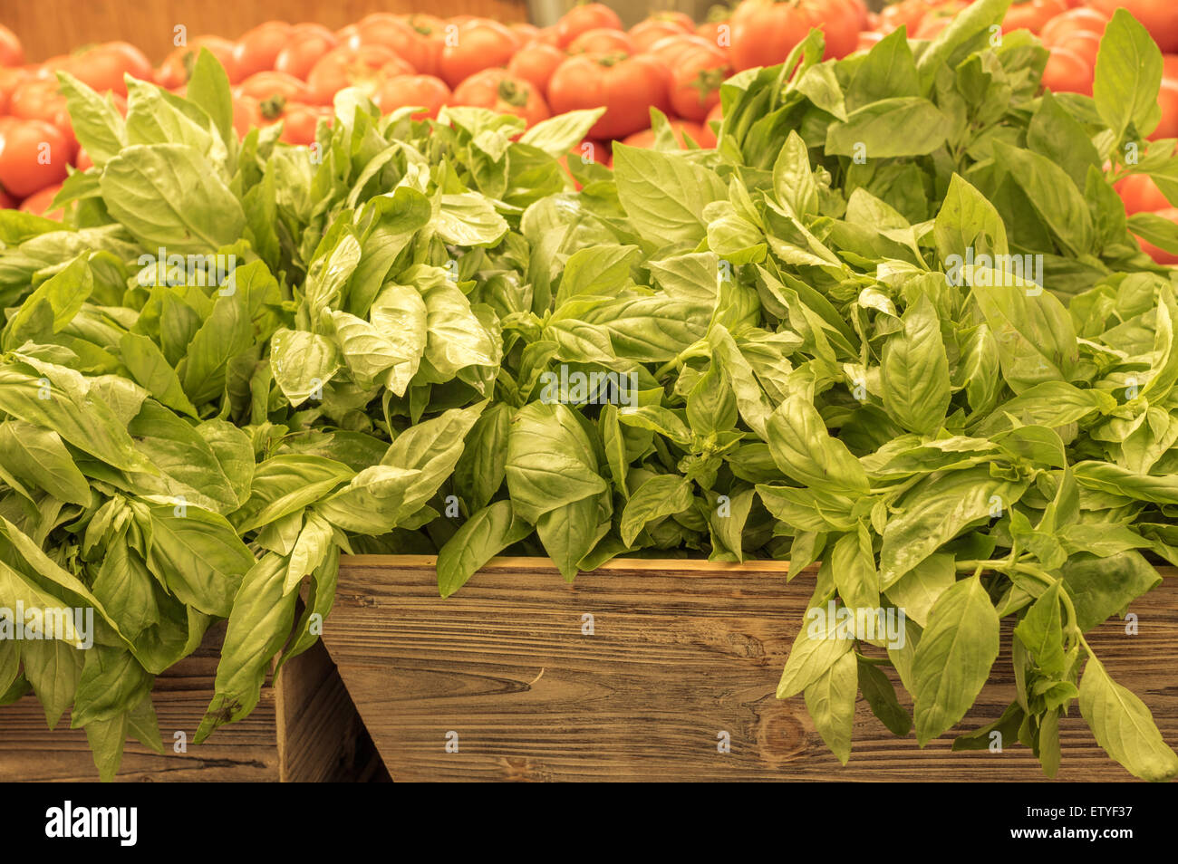 Fresh basil herb displayed at the farmers market Stock Photo - Alamy