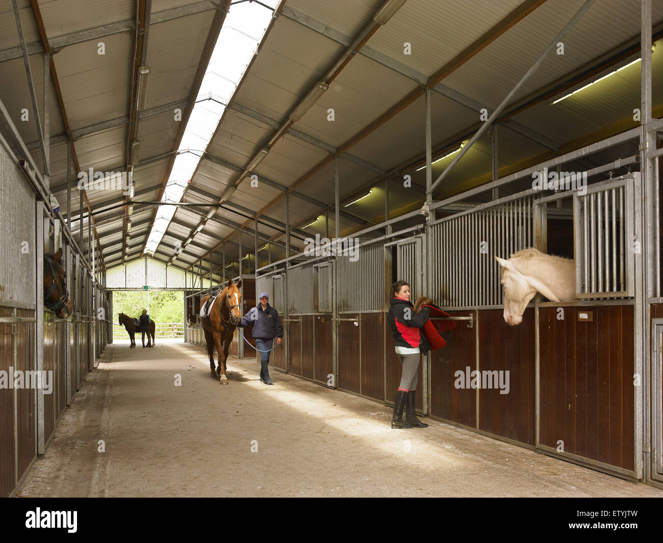 The Equestrian Centre stables at Mount Juliet Country Estate in County ...