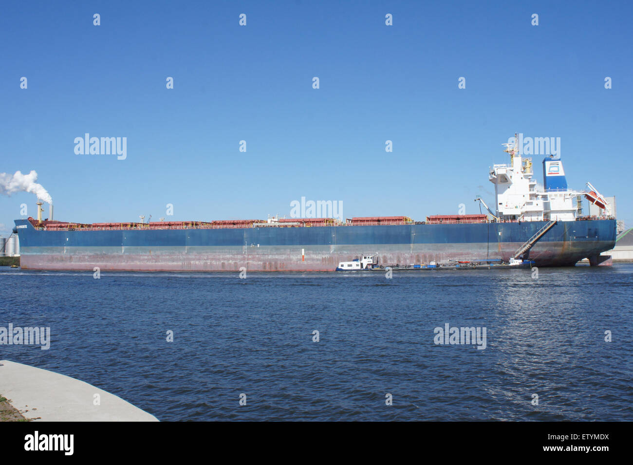 The AOM Aphrodite (IMO 9590096) is a modern tanker vessel seen at ...