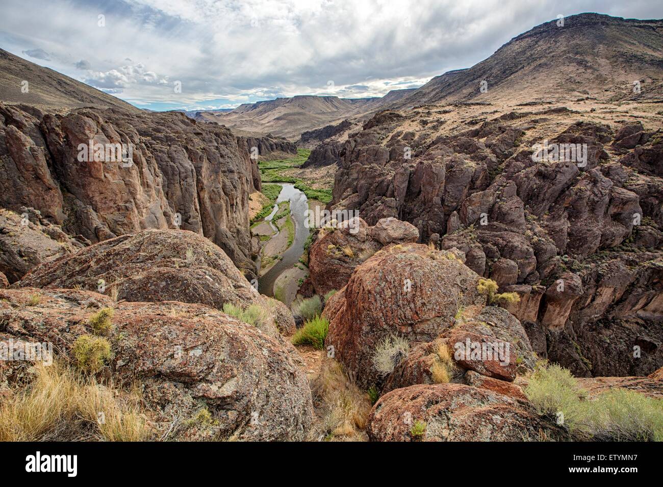 The Bruneau Jarbidge River running through a canyon in the Owyhee ...