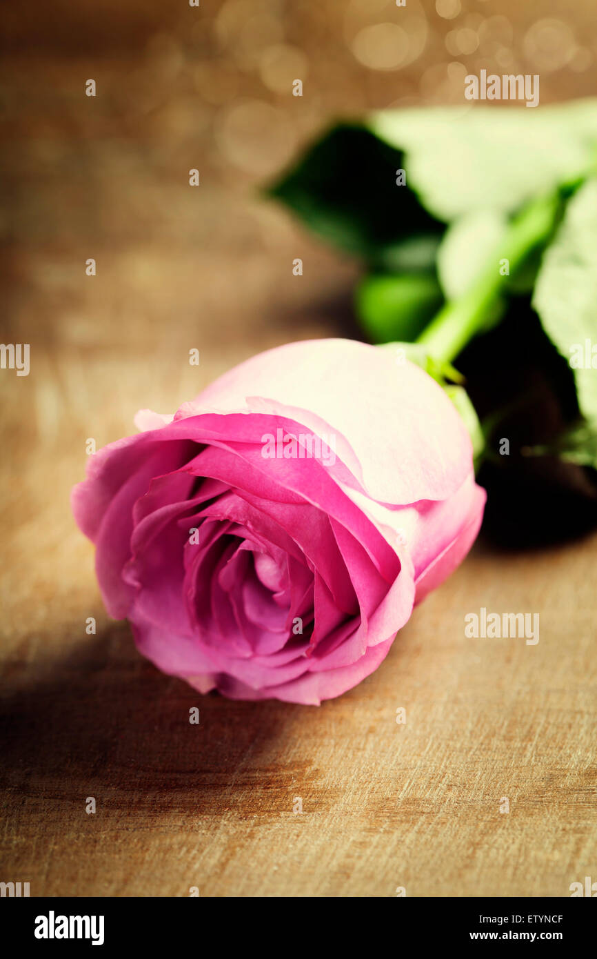 Pink rose on wooden vintage table Stock Photo - Alamy