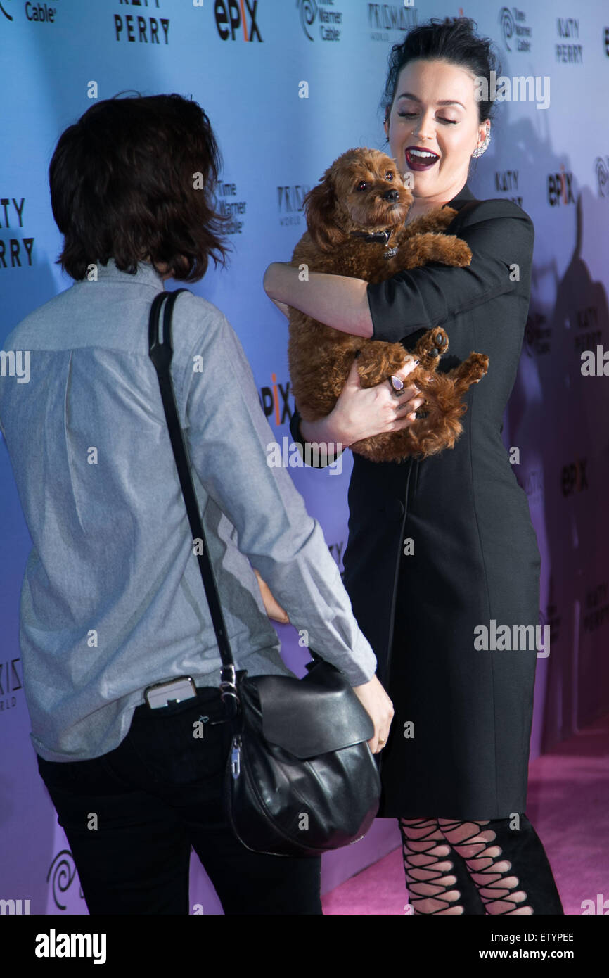 Katy perry with her dog butters hi-res stock photography and images - Alamy