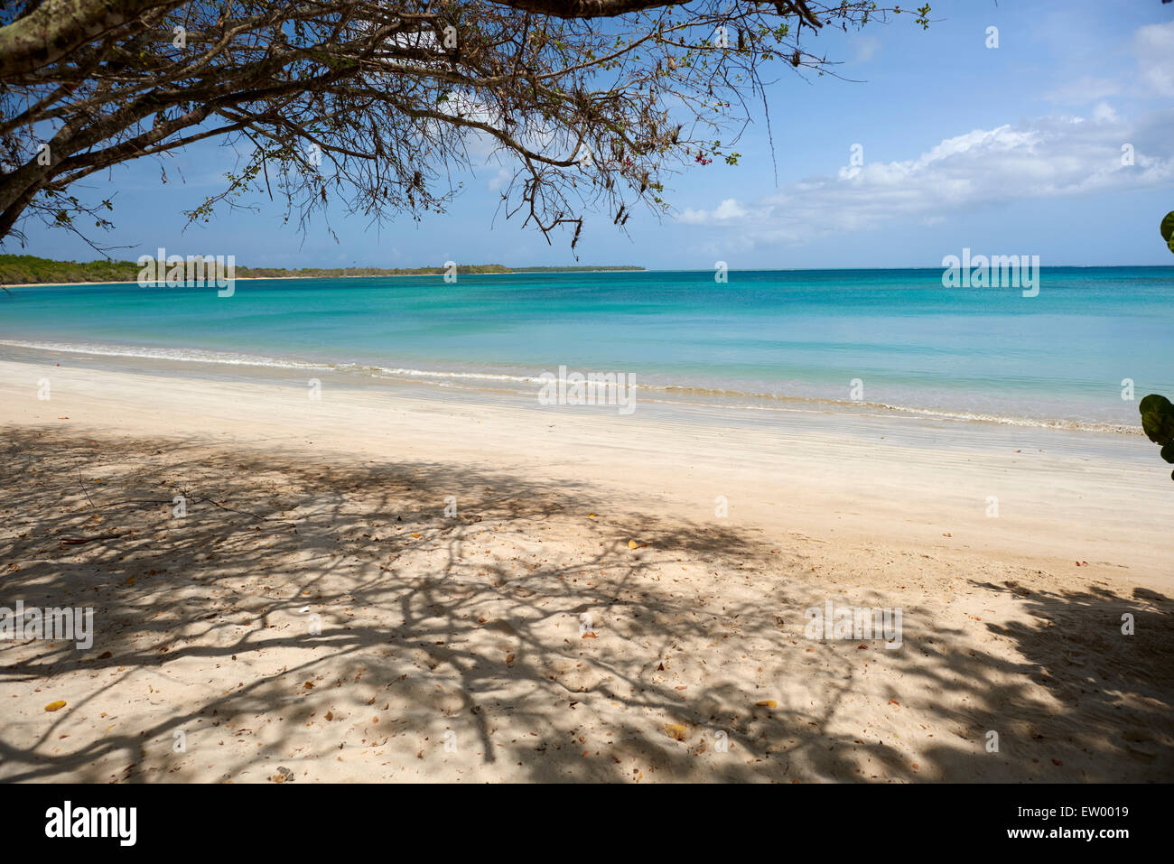 Buccoo Bay High Resolution Stock Photography and Images - Alamy