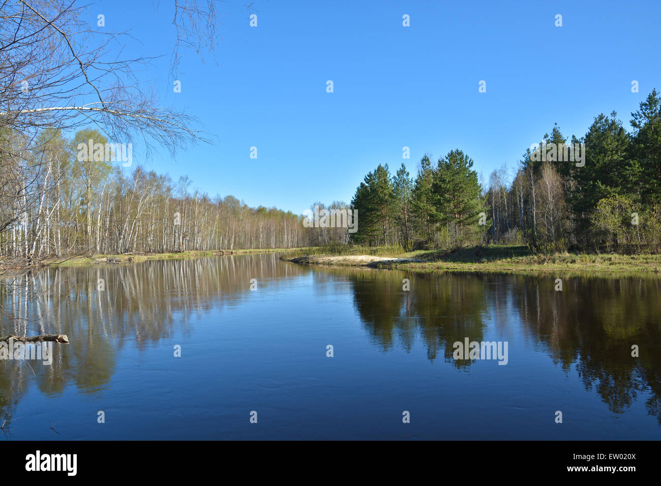 Spring river landscape. Forest river National Park in Central Russia ...