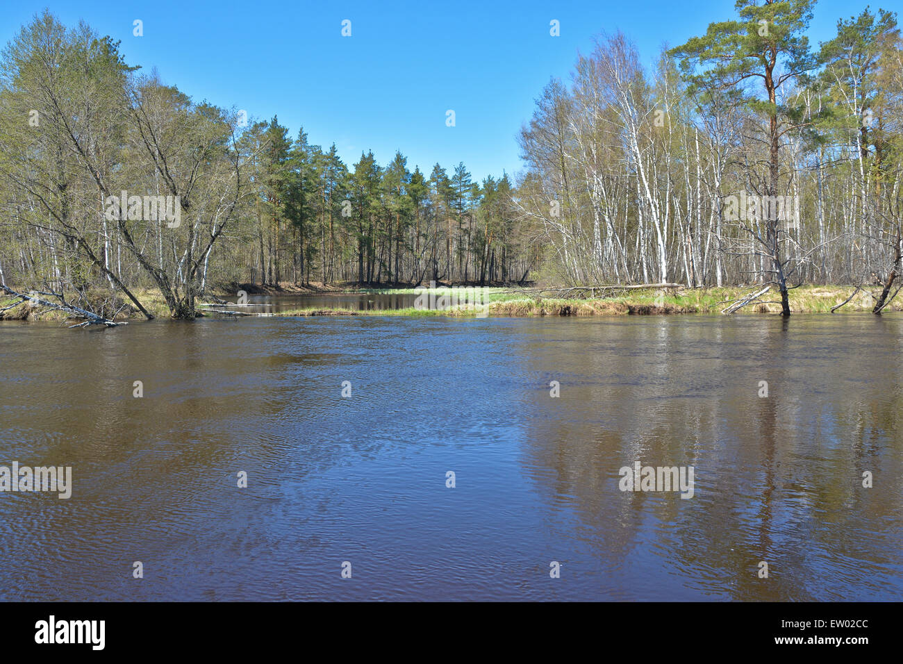 River spring landscape. Spring on the river in a national Park in ...