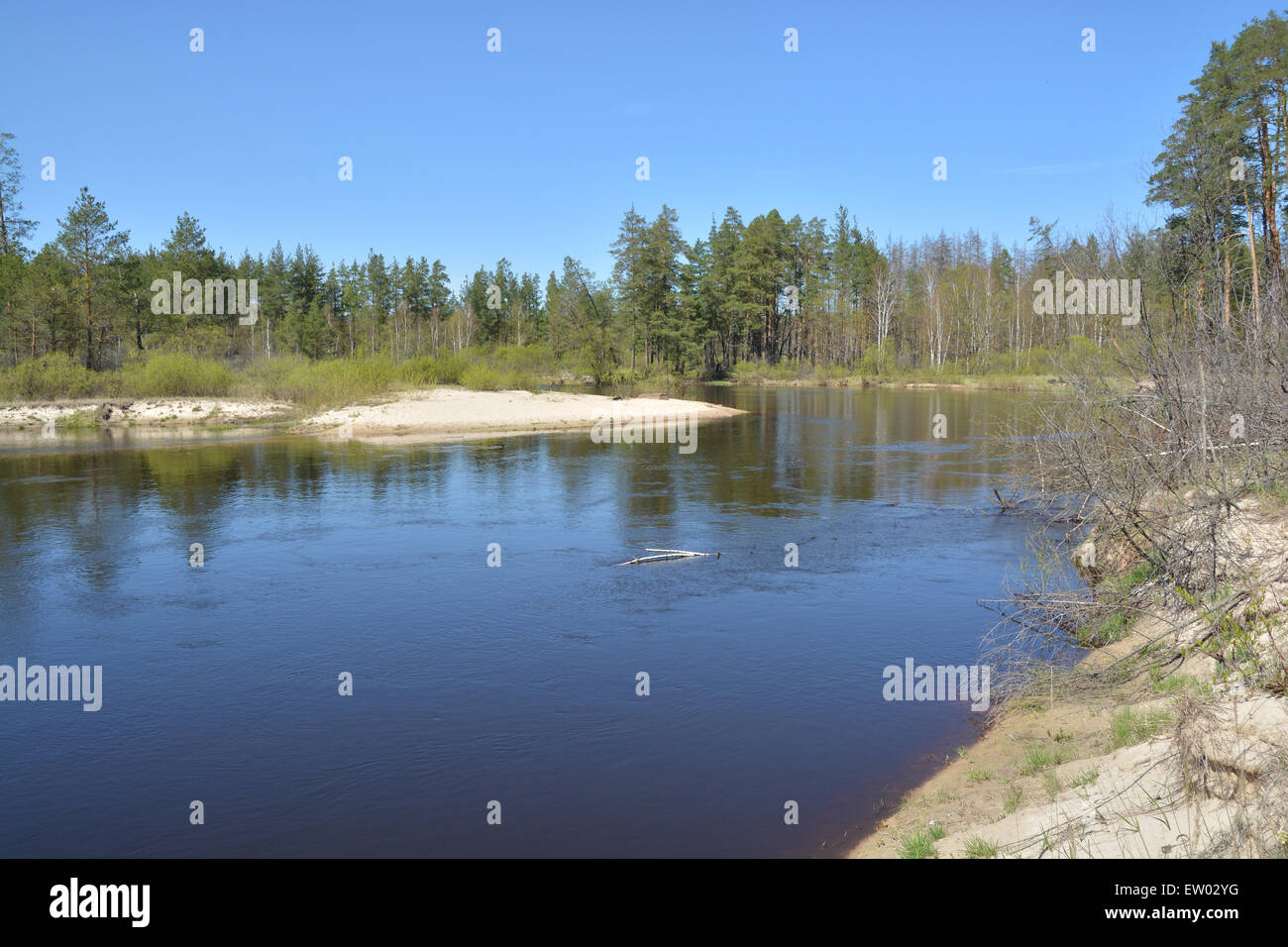 River spring landscape. Spring on the river in a national Park in ...