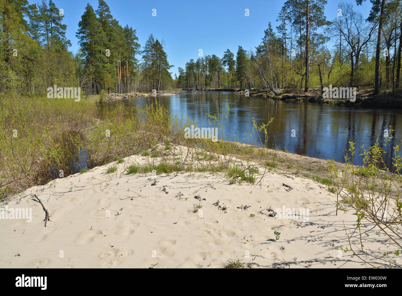River spring landscape. Spring on the river in a national Park in ...