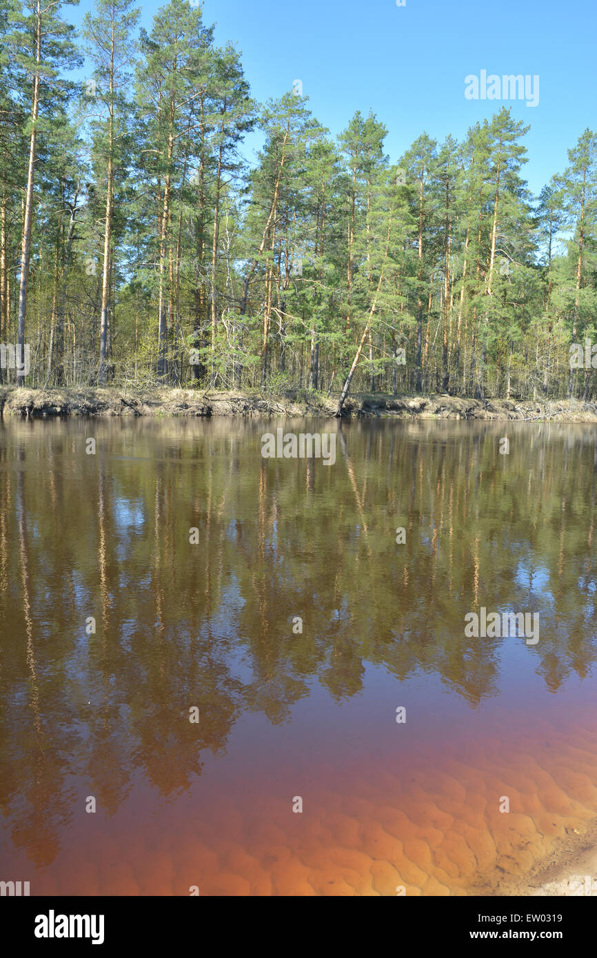 Russian forest river in spring. Spring on the river in a national Park ...