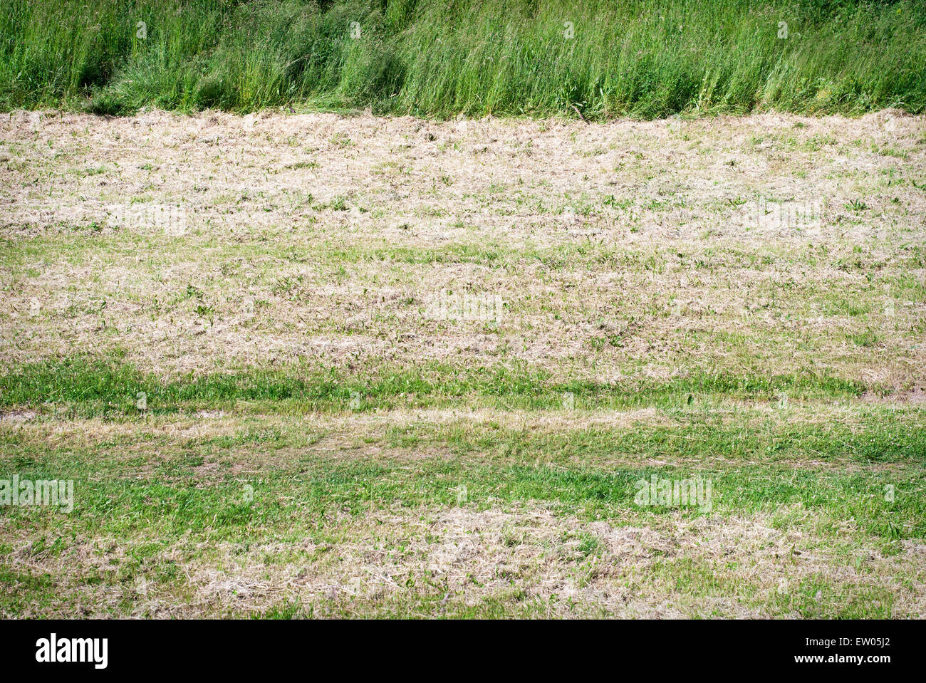 Cross mown into grass hi-res stock photography and images - Alamy