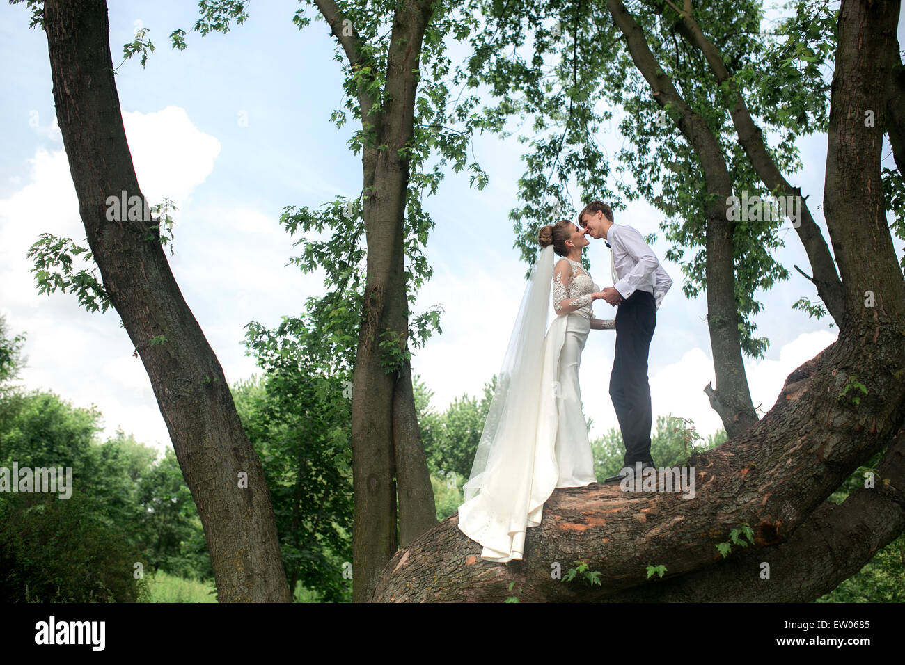 Bride and groom on the tree Stock Photo - Alamy