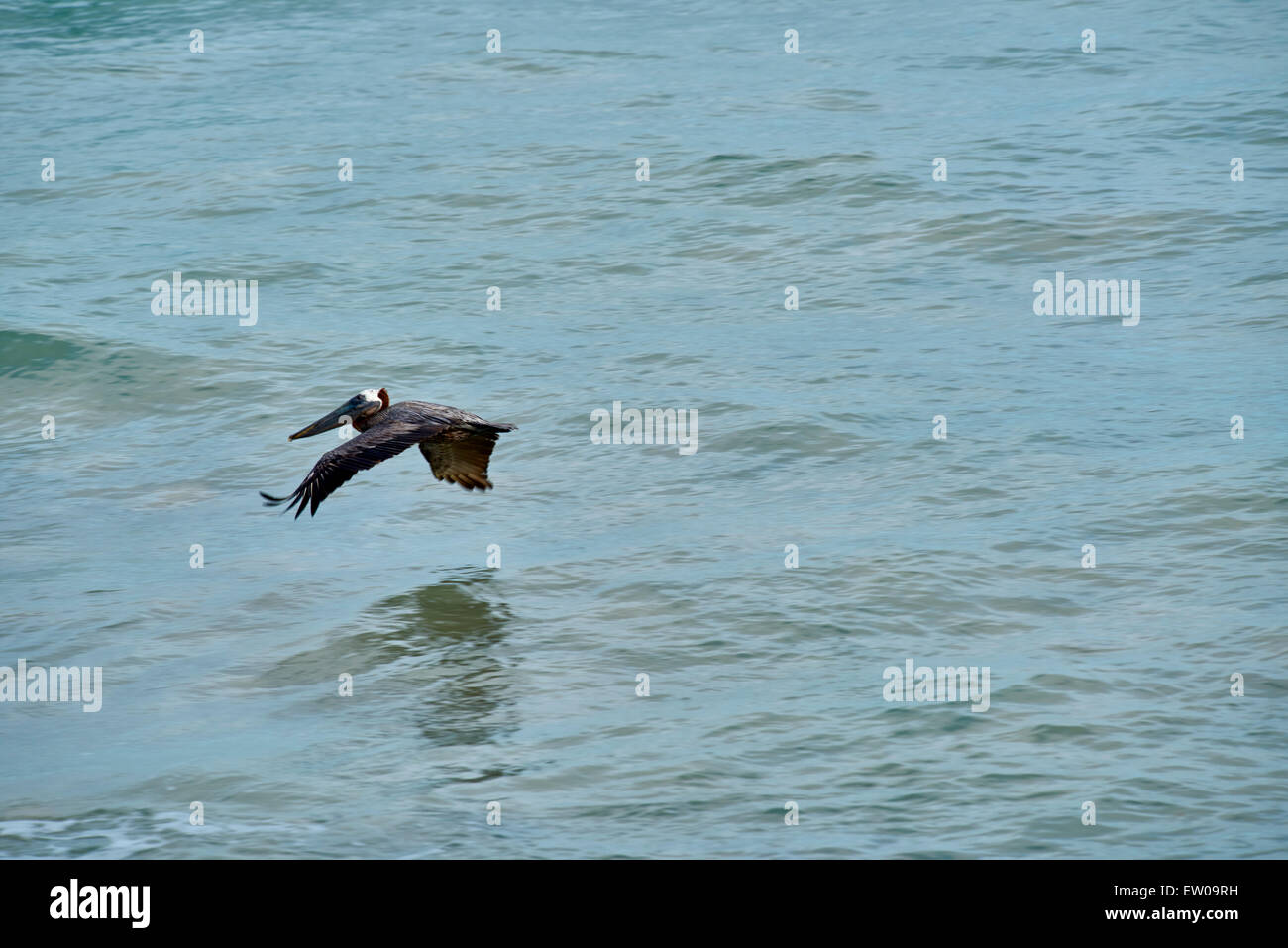 Flying low flying hi-res stock photography and images - Alamy