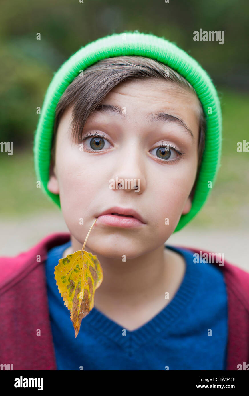 portrait of a boy with a leaf Stock Photo - Alamy