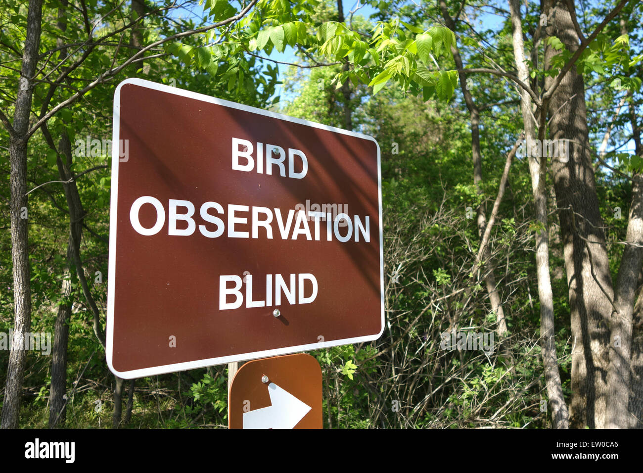 Bird blind sign hi-res stock photography and images - Alamy