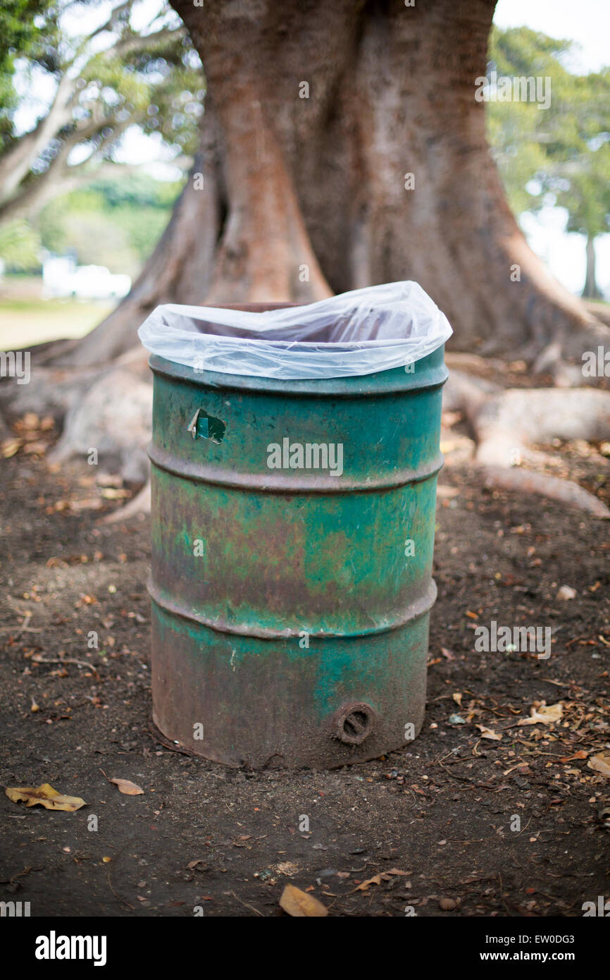 rusty garbage can in front of a tree Stock Photo - Alamy