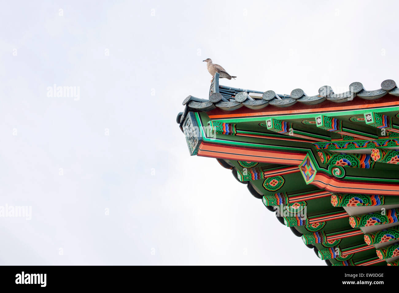 roof of a korean temple with a dove Stock Photo - Alamy