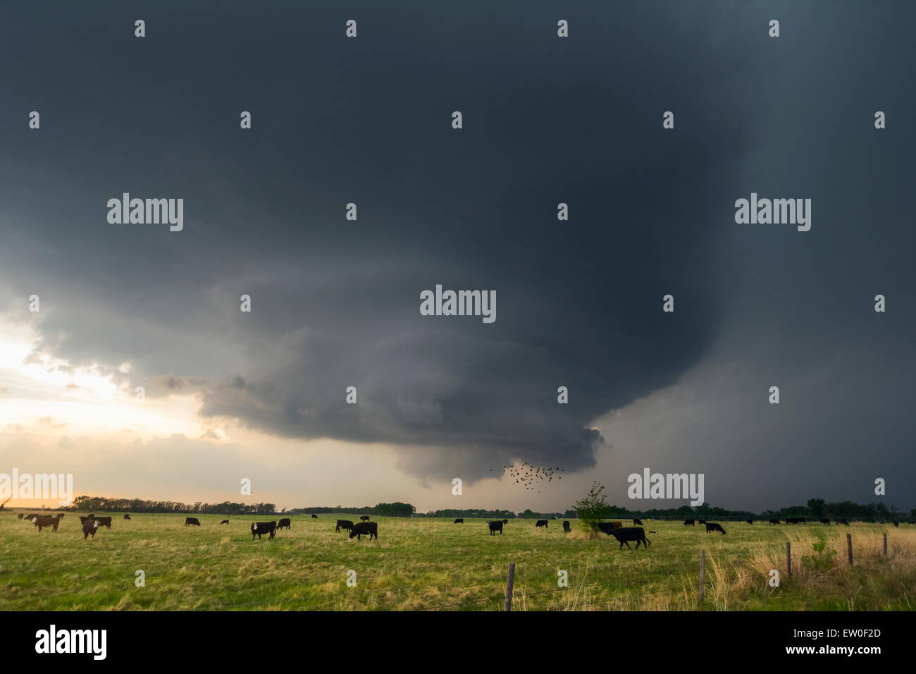 Supercell storm hi-res stock photography and images - Alamy
