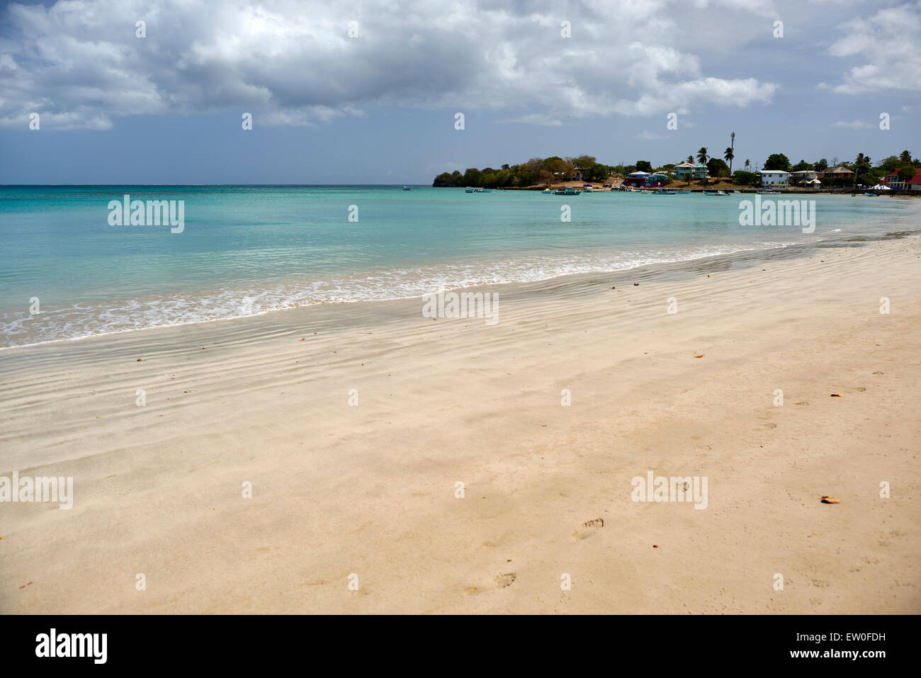 Buccoo beach goat hi-res stock photography and images - Alamy