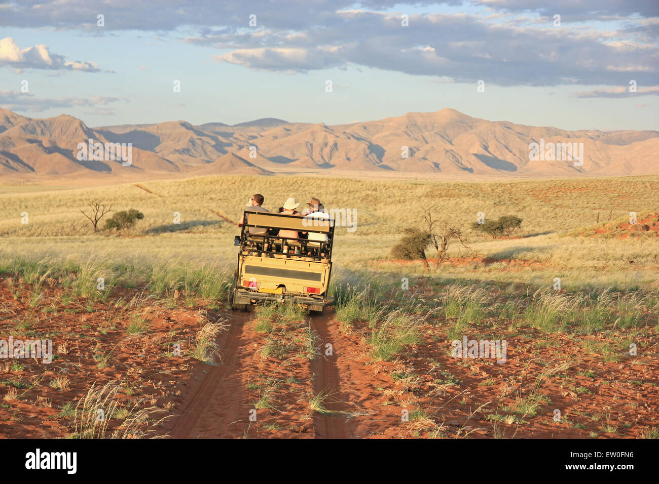 A group of turists during a namibian safari Stock Photo - Alamy