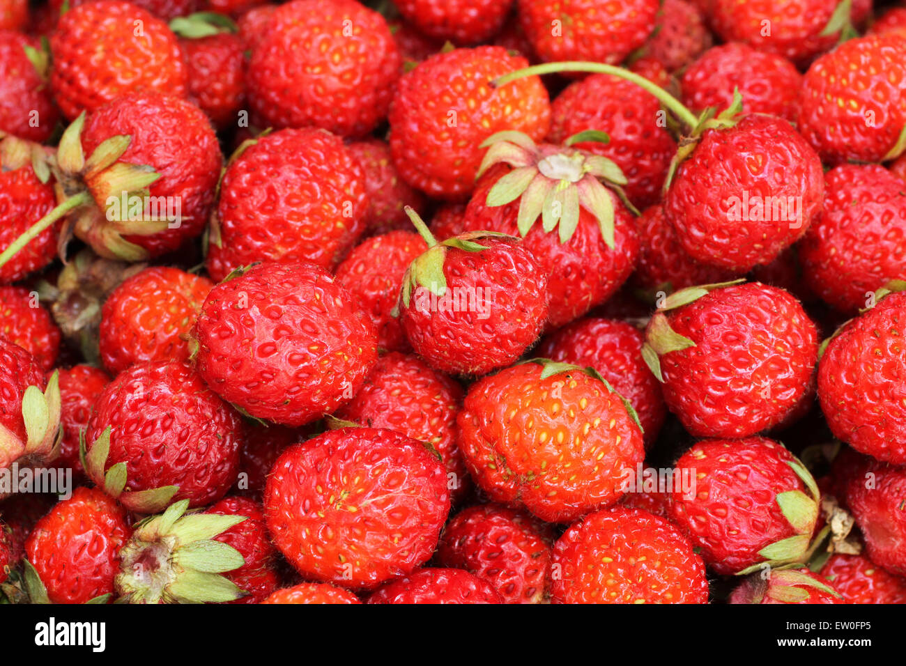 Pine strawberry background Stock Photo - Alamy