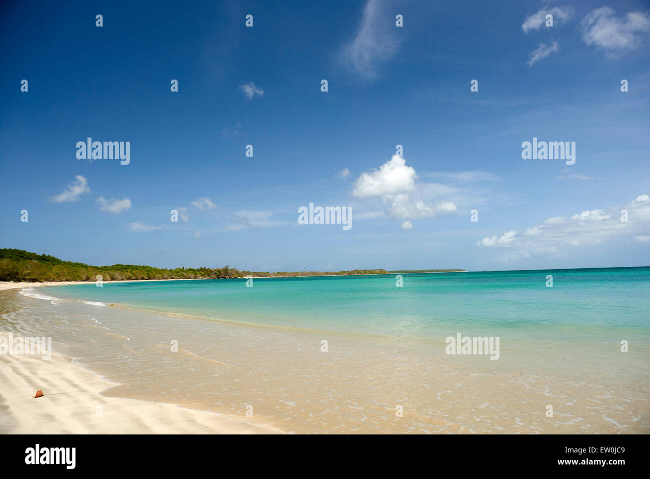 Buccoo High Resolution Stock Photography and Images - Alamy