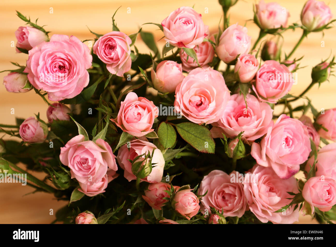 Bunch of small pink Roses, close up Stock Photo - Alamy