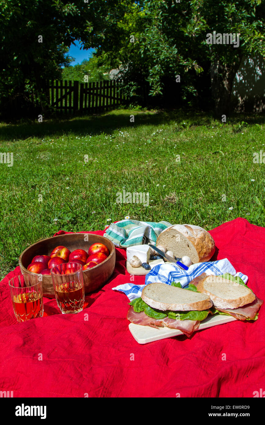 Picnic in the nature in a sunny day Stock Photo - Alamy
