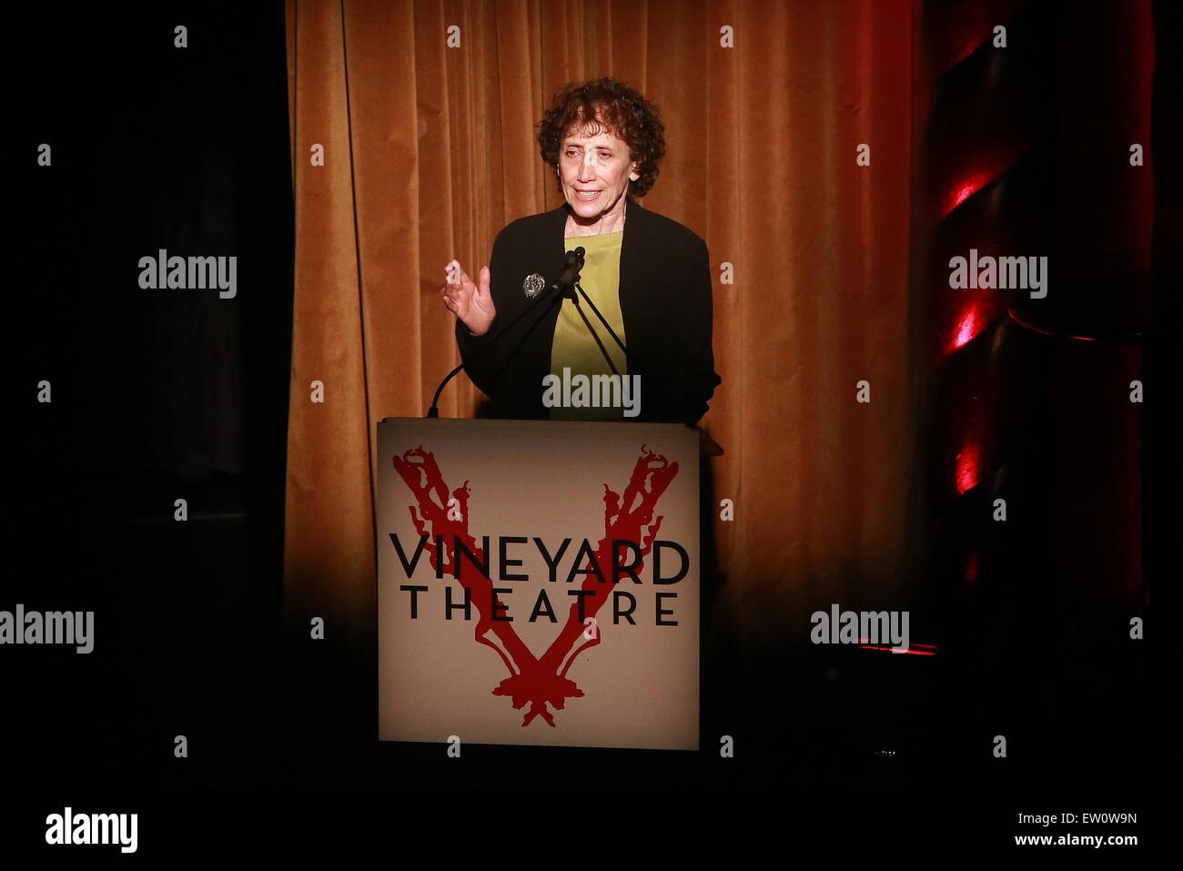 The 2015 Vineyard Theatre Gala at the Edison Hotel Ballroom ...