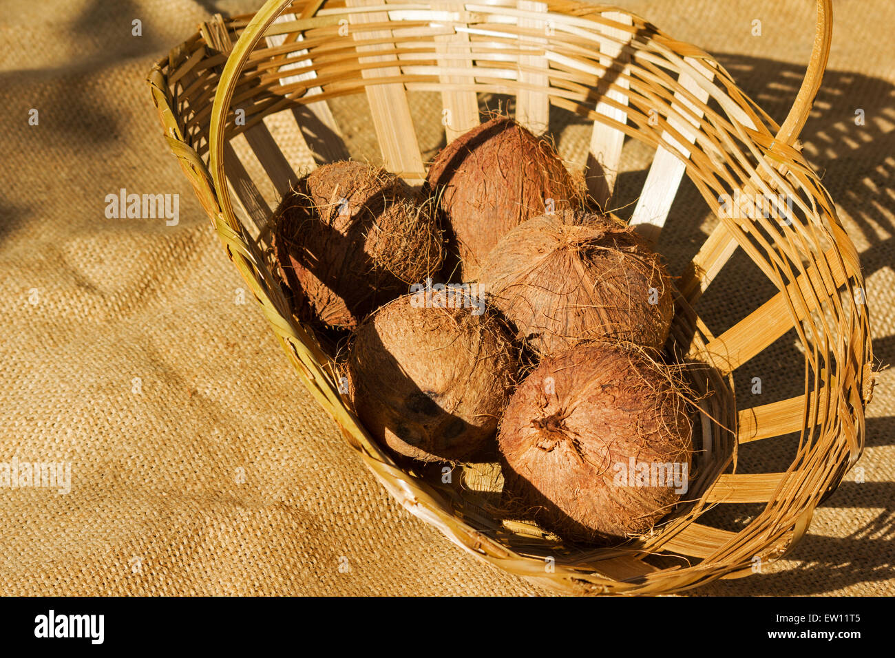 Basket with dried coconuts (cocos nucifera) on burlap Stock Photo - Alamy