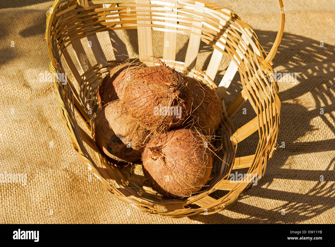 Basket with dried coconuts (cocos nucifera) on burlap Stock Photo - Alamy