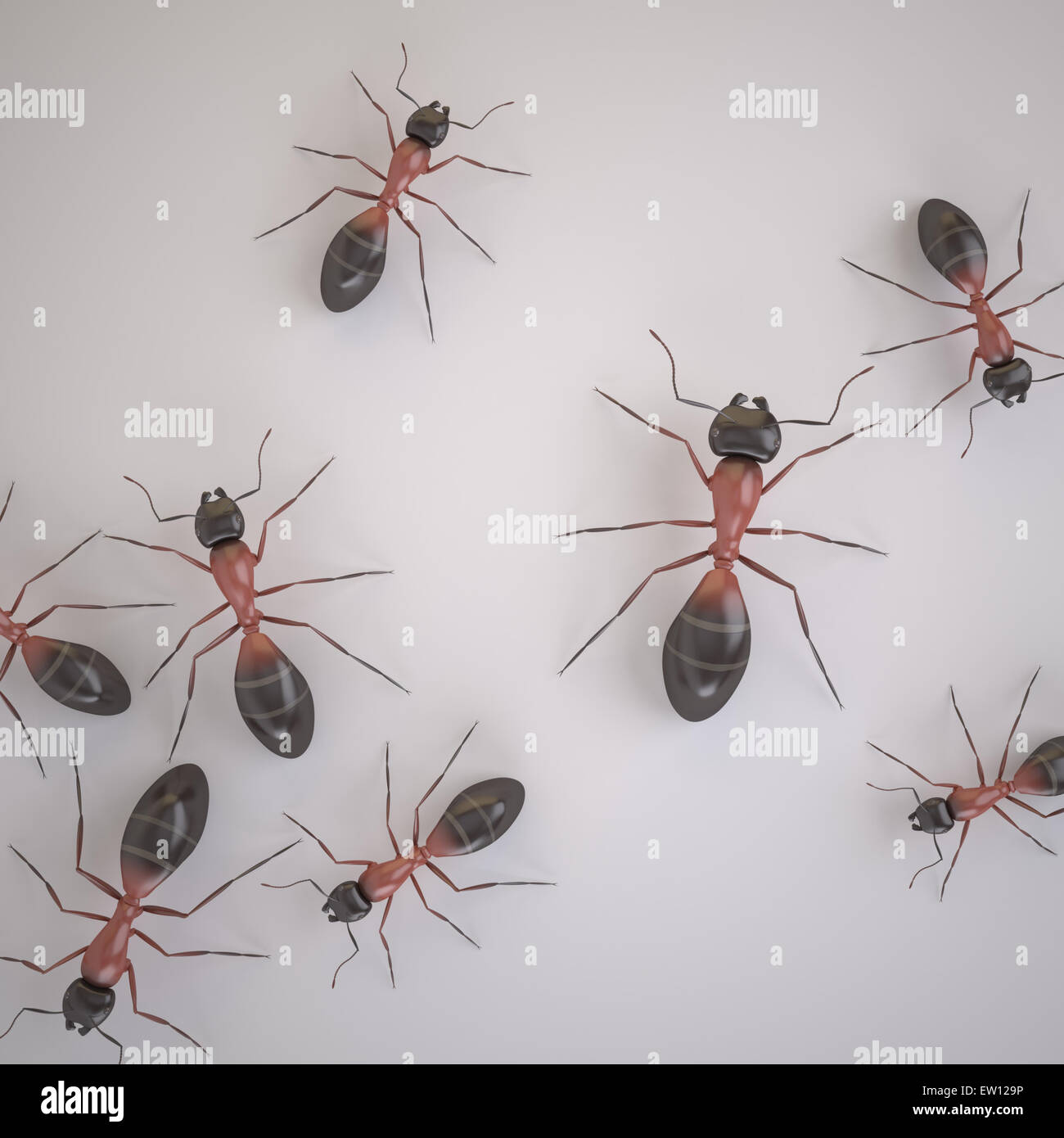 3d insects hi-res stock photography and images - Alamy
