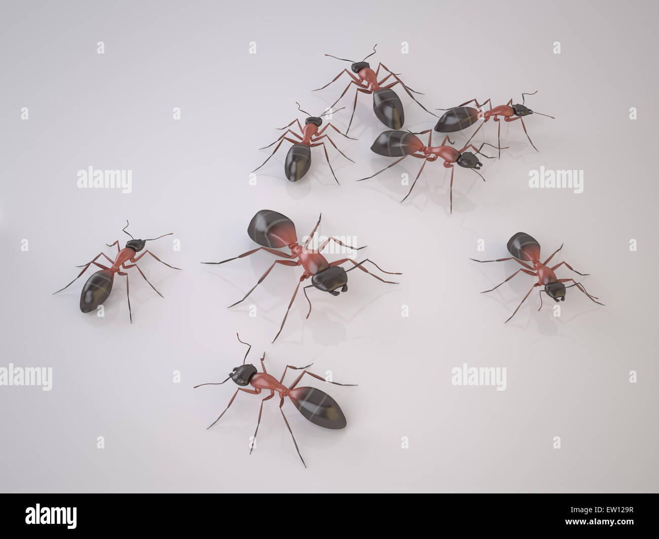 Group of Ants on White Background. Swarm of Insects. Is a Pests. High ...
