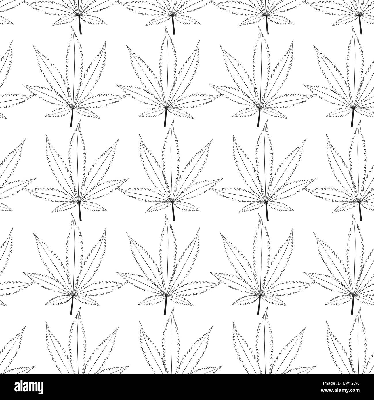 Seamless texture of marijuana leaves sketched on white backgroun Stock ...