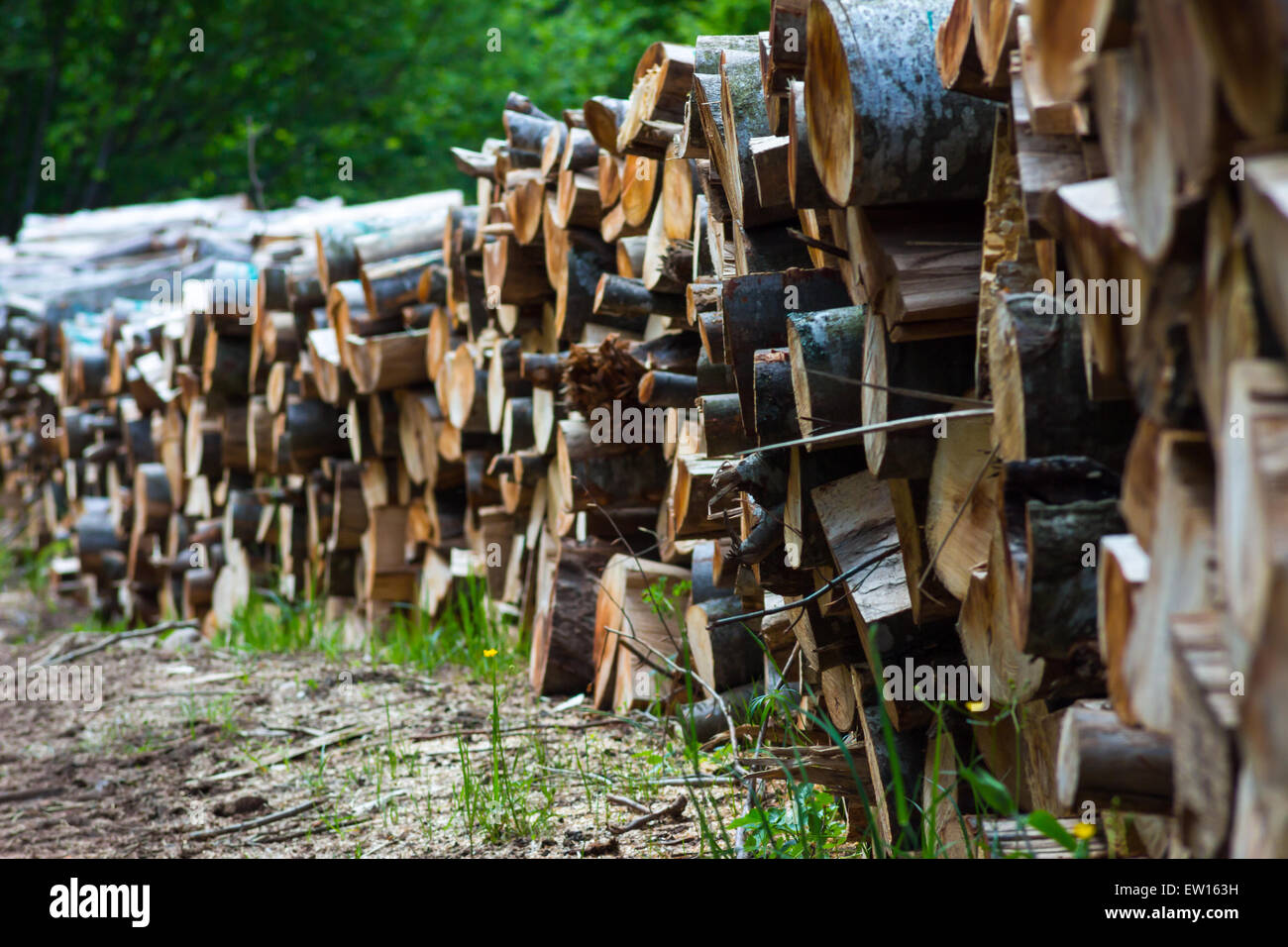 Large wood pile hi-res stock photography and images - Alamy
