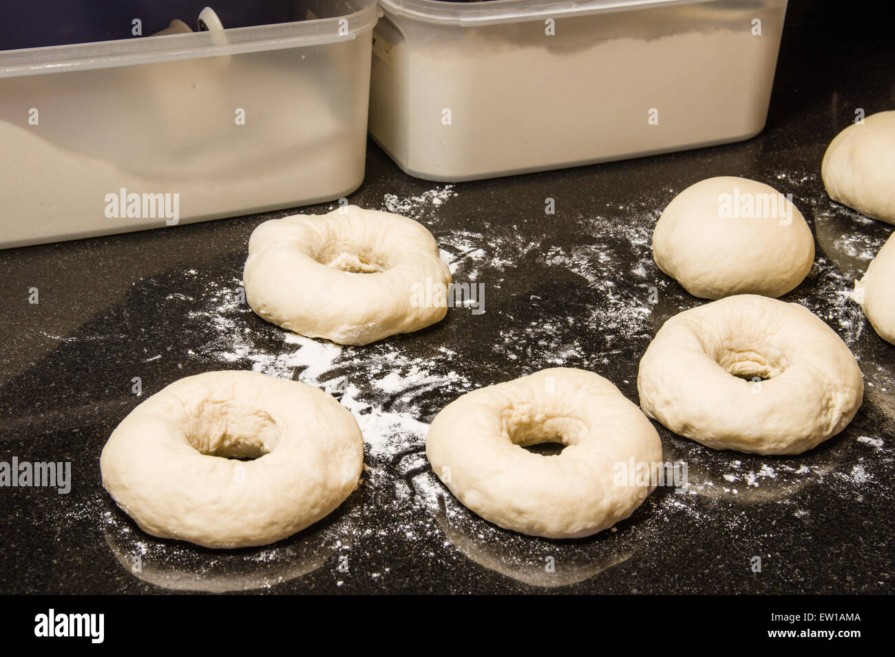 Raw dough formed into bagels ready to bake Stock Photo - Alamy