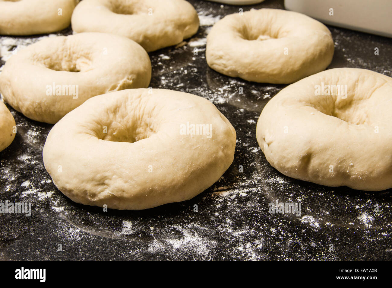 Bagels formed risen and ready to bake Stock Photo - Alamy