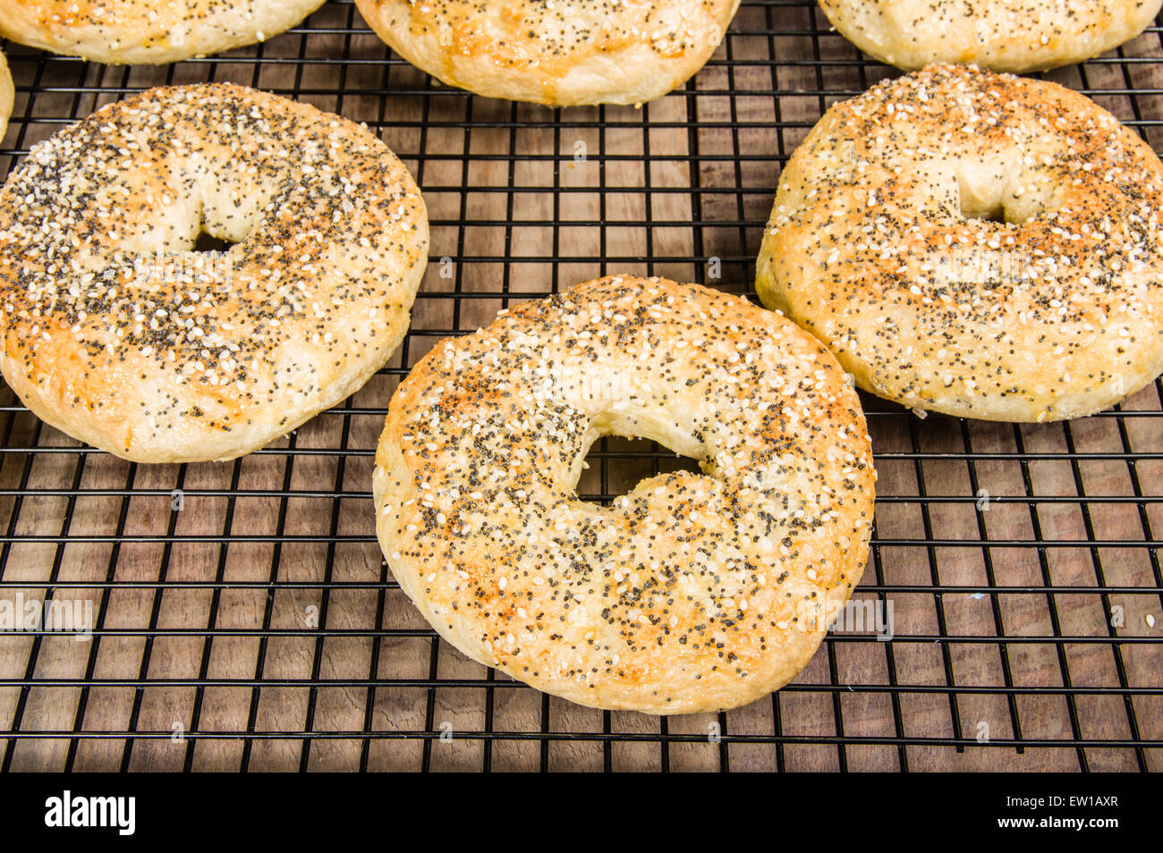 Bagels just baked and placed on cooling rack Stock Photo - Alamy