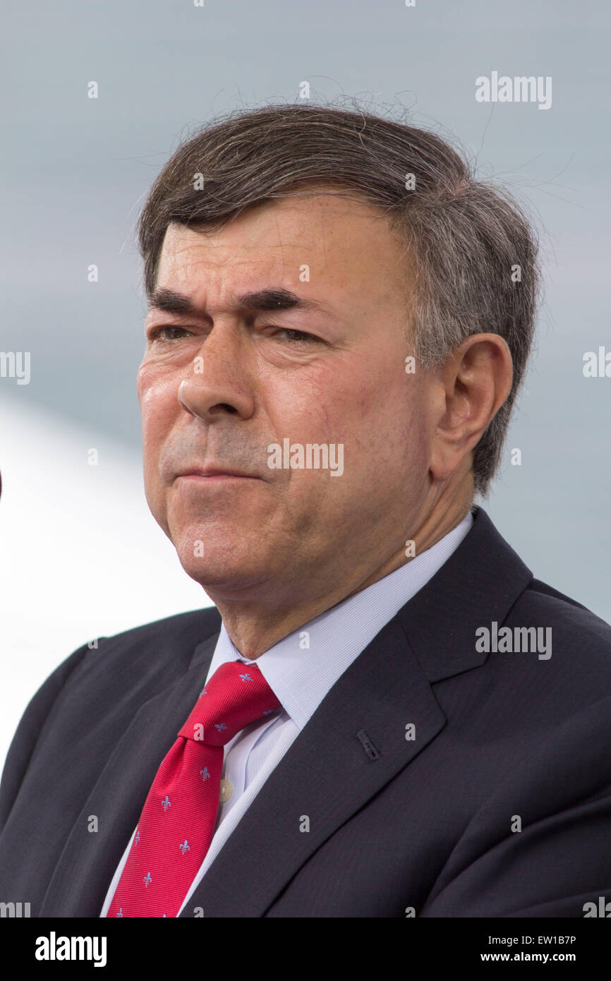 New York, New York, USA. 16th June, 2015. Robert Harrison is Chairman ...