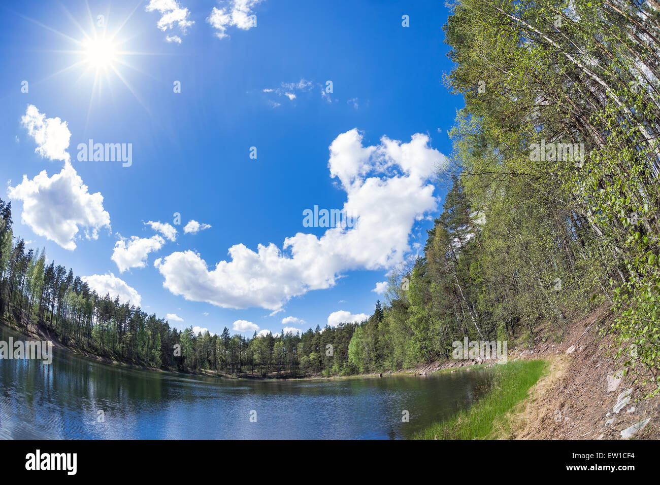 Lake in the forest with blue sunny sky. Fisheye capture Stock Photo - Alamy