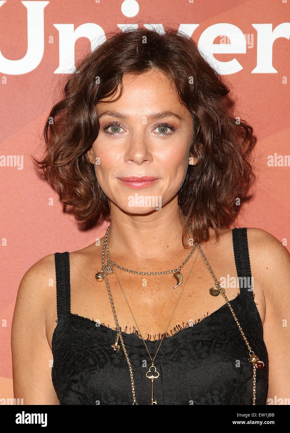 2015 NBCUniversal Summer Press Day Featuring: Anna Friel Where ...
